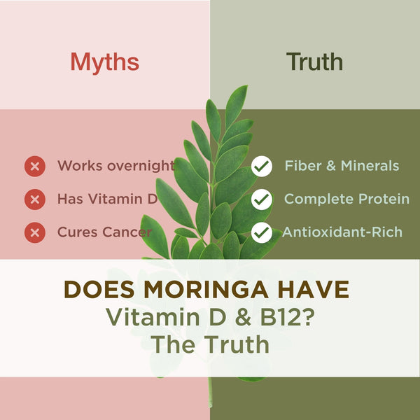 Moringa vs Berberine blood sugar management (Infographic) | All Moringa