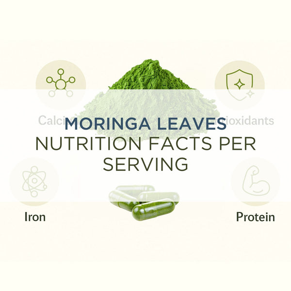 How to Make Moringa Water for Everyday Wellness