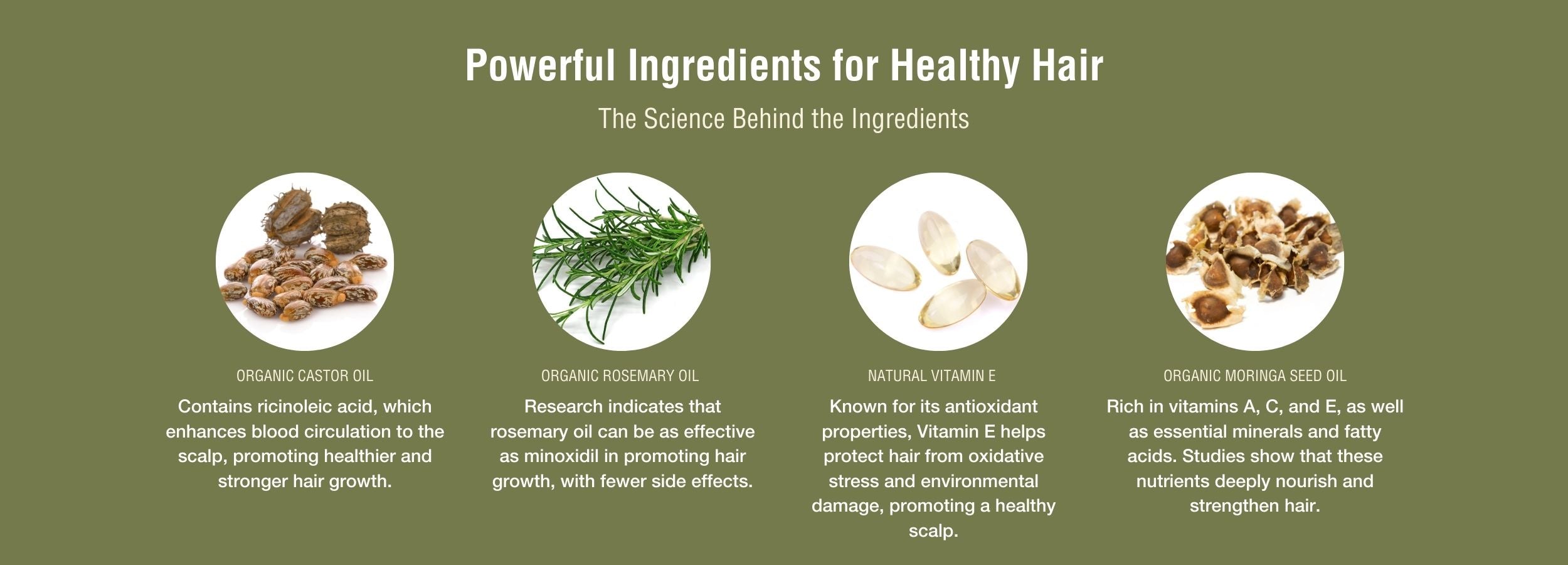 Organic Moringa Seed Oil for Hair With Castor Oil & Rosemary | All Moringa