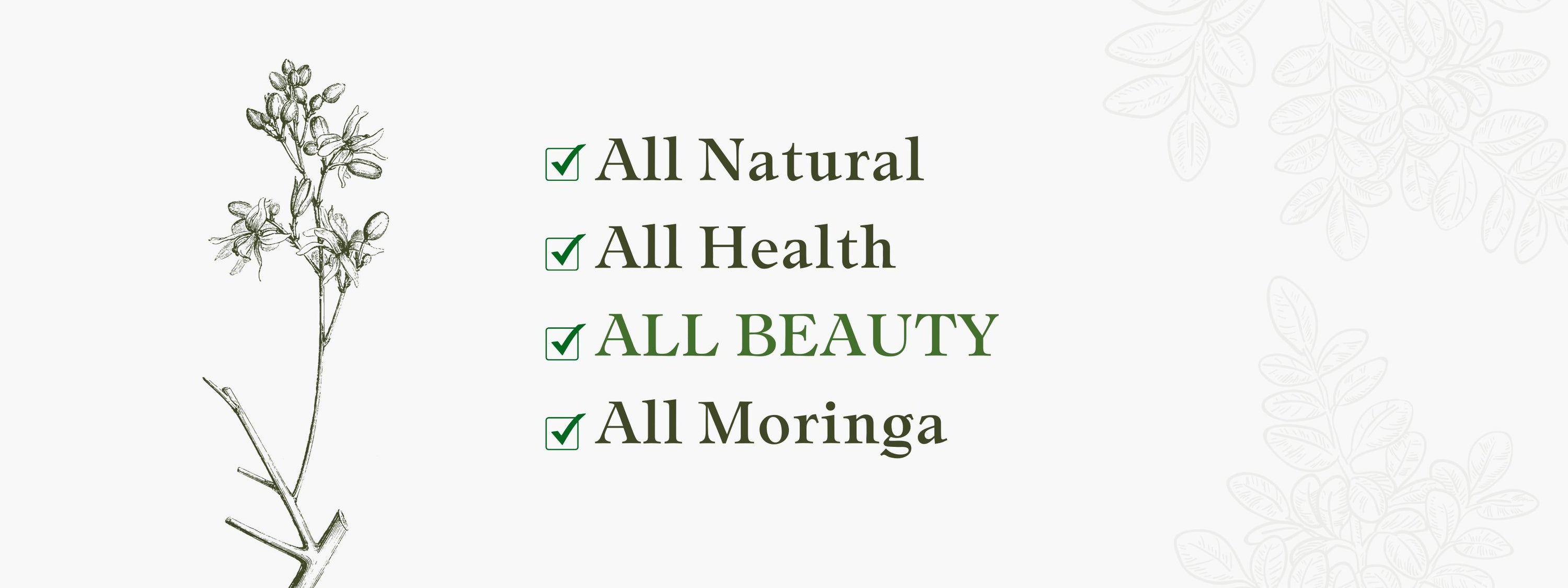 Moringa Seed oil Benefits: Skin & Health Wonders Explained