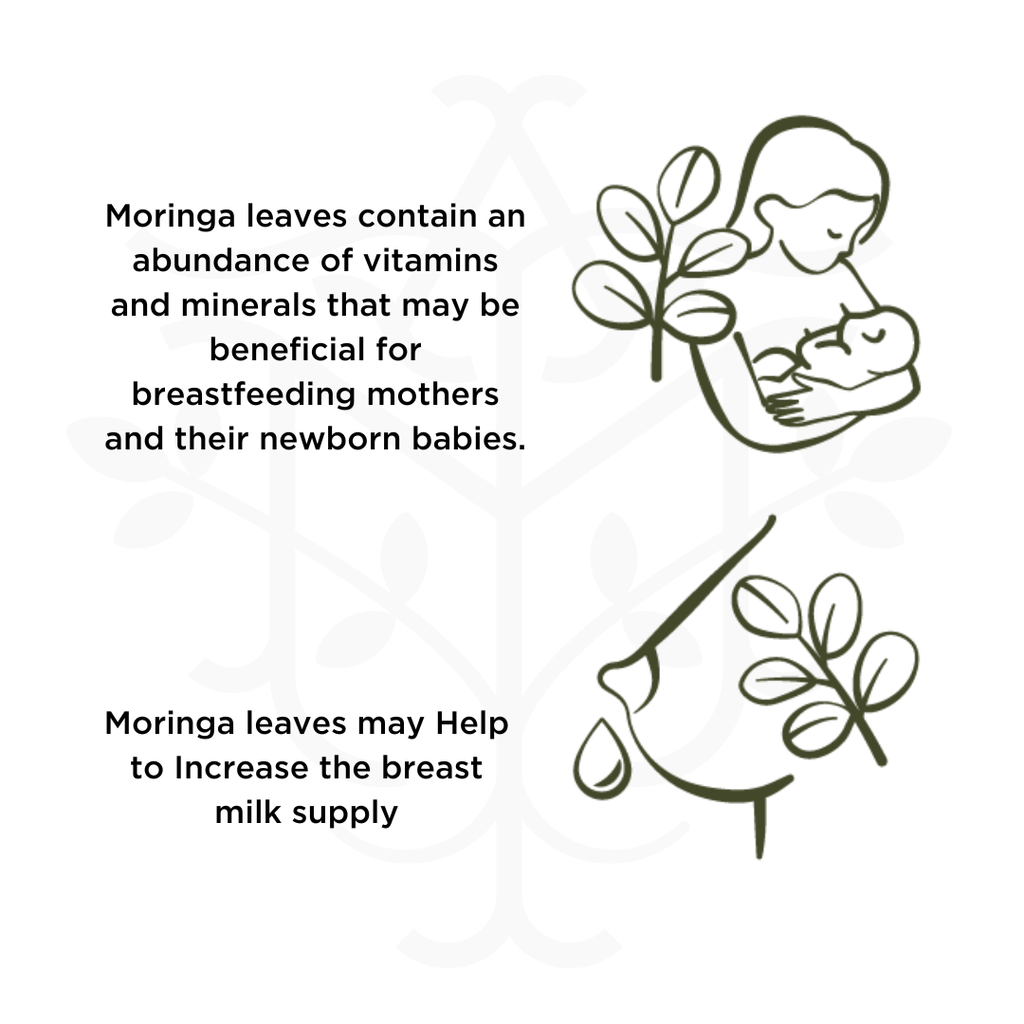 Moringa for breastfeeding Postpartum & Infant Kit | All Moringa